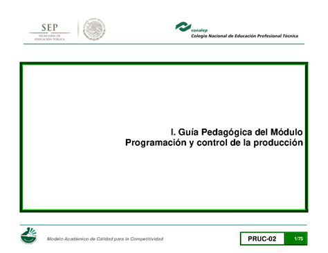 I Guía Pedagógica Del Módulo Programación Y Control De La Producción Modelo Académico De