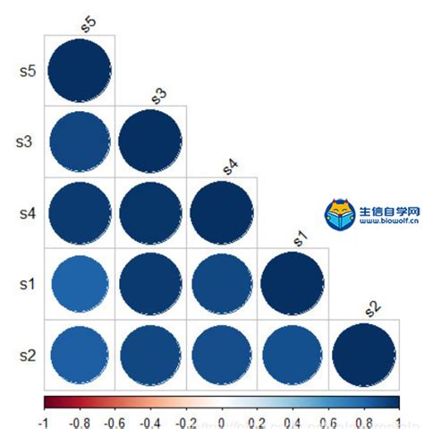 R语言绘制热图corrplot包 生信自学网