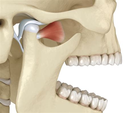 Cóndilo Mandibular
