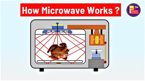 How Do Microwaves Work Simple Explanation At Kathy Morelli Blog