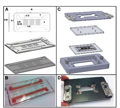 Figure 1 From Microfluidic Bioreactor For Dynamic Regulation Of Early
