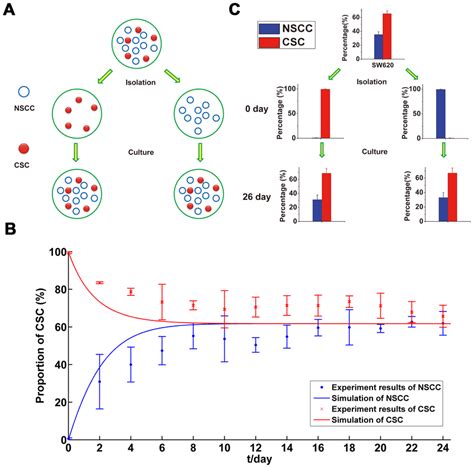 Experiments Procedures Results And The Simulations Of Long Term