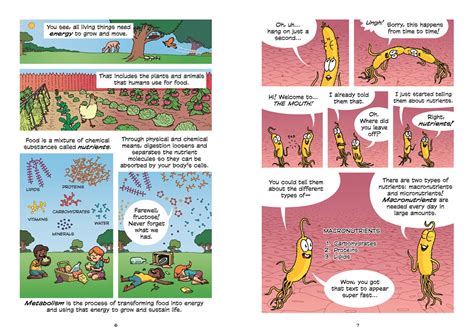 Science Comics The Digestive System