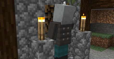 【マイクラ】ヴィンディケーターの出現場所やドロップ、対策など ｜ ひきこもろん