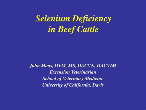 Ppt Selenium Deficiency In Beef Cattle Powerpoint Presentation Free Download Id 444293