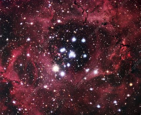 Rosette Nebula Stock Image F044 1039 Science Photo Library