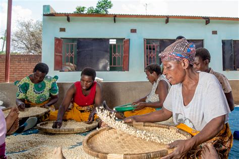 The Status Of Women In Agri Food Systems Cimmyt