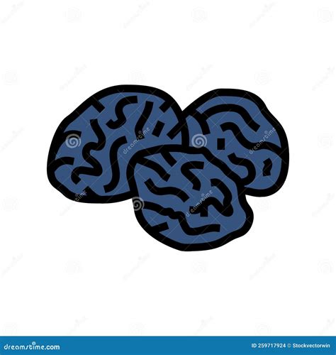 Prunes Dried Fruit Icon Doodle Illustration 338656144