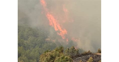 Има голяма опасност пожарът край Илинденци да стигне и до други населени места