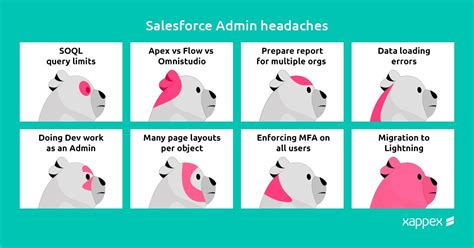 xappex llc on linkedin salesforceadmins adminlife crmconfessions