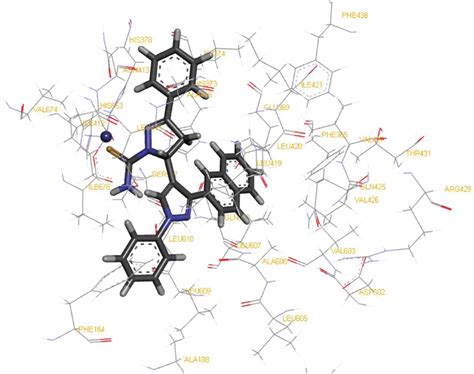 Molecular Modelling Of 15 Lox Inhibitors 6a Coloured By Element Into Download Scientific
