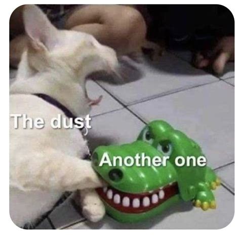 Pin Von Bautzcat Auf Very Very Random Meme Lustig Lustig Lustige