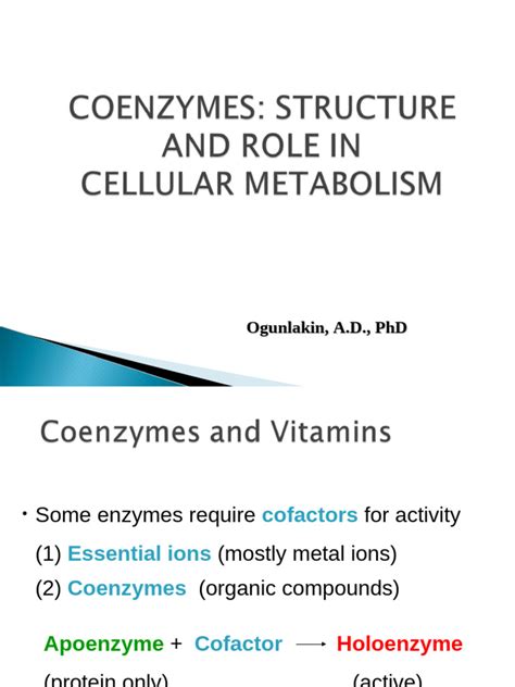Coenzymes And Their Roles In Enzyme Function Pdf Nicotinamide