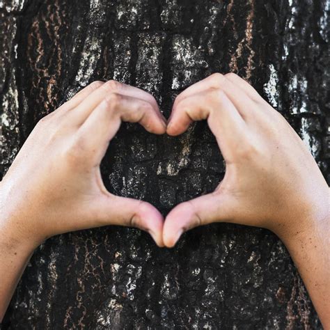 Crow Proof Bird Tables Designed To Attract Other Species