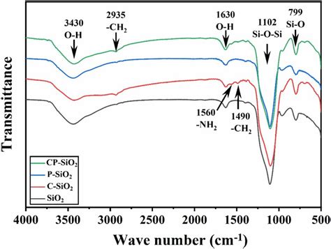 The Ftir Spectra Of Sio2 C Sio2 P Sio2 And Cp Sio2 Powder Download