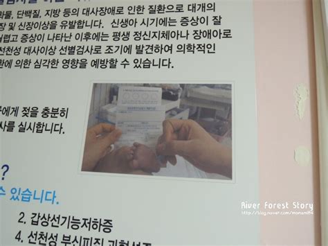 신생아검사 선천성대사이상검사 6종 50종 파헤치기 네이버 블로그