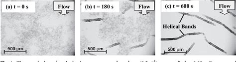 Figure 1 From A Review Of The Optical Microstructure And Rheology Of Carbon Nanotube Suspensions