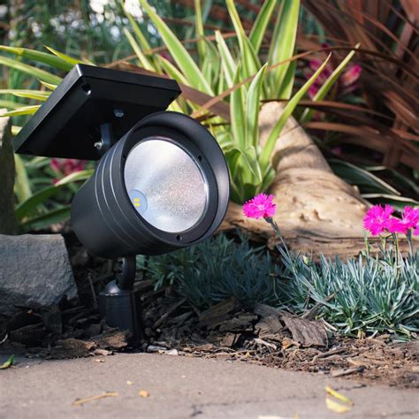 Moonrays Outdoor Lighting Buy Closeout Moonrays 6 Crackle Glass Ball