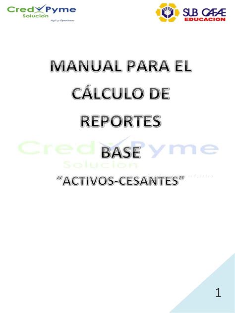 Pdf Manual Calculo De Reportes Basepdf Dokumentips