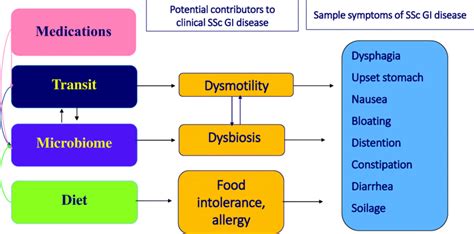 The Complexity Of Scleroderma Associated Gastrointestinal Disease Download Scientific Diagram