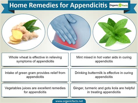 What Is Appendicitis How It Can Prevent Herbalogy My XXX Hot Girl