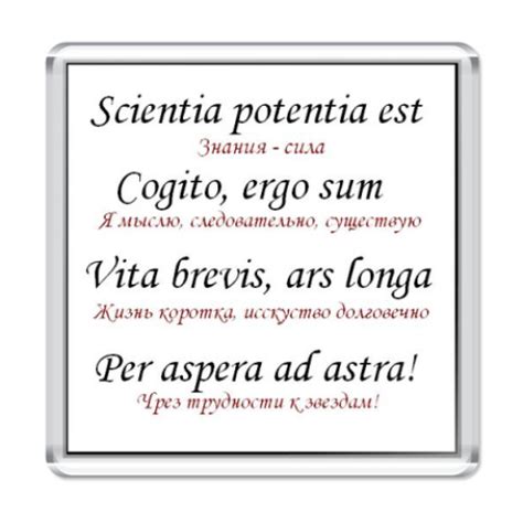 Философские фразы на латыни Крутые латинские фразы — Записки преподавателя