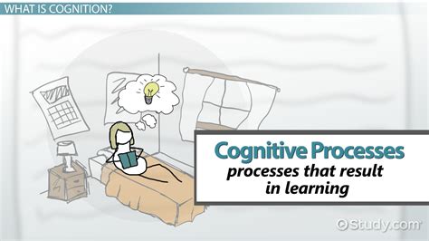 Cognitive Processes In Learning Definition Theories And Examples Lesson