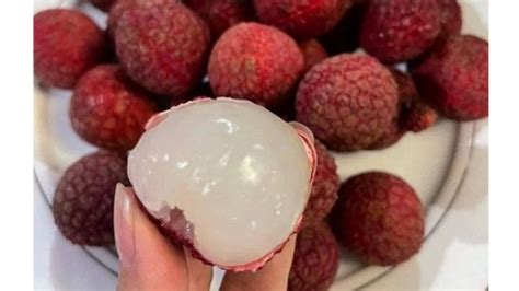 10 Manfaat Leci Untuk Kesehatan Dari Menjaga Keseimbangan Elektrolit Sampai Kesehatan Kardiovaskuler