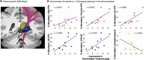 A An Example Patient Specific Dbs Model Created Using Stimvision Is Download Scientific Diagram