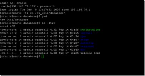 Instalação Do Software De Banco De Dados Oracle 11g R2 E Criação De Um Banco De Dados Com Asm