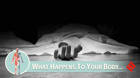How Fast Do Our Organs Die After Death