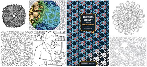 Pdb 101 Learn Coloring Books