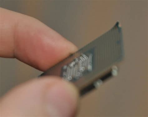 Linux 6 5 Patches Merged For Intel Gds Downfall Amd Inception R Phoronix Com