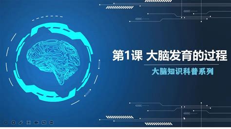 大脑知识科普第一课，大脑发育的过程高清1080p在线观看平台腾讯视频