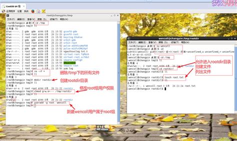 Linux文件权限练习题现在有一个用户jerry不是root组成员调整rootdir目录权限使得jerry用户可以进入目 Csdn博客