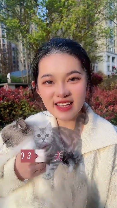 这四种猫比狗还忠诚 科学养宠攻略 新手养猫 猫咪的迷惑行为 养猫经验分享 猫奴十三 Youtube