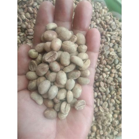 Jual BIJI KOPI MENTAH ROBUSTA PREMIUM 1kg Shopee Indonesia