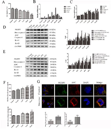 Nicotine Induces Pyroptosis In Thp 1 Macrophages A Detection Of Cell