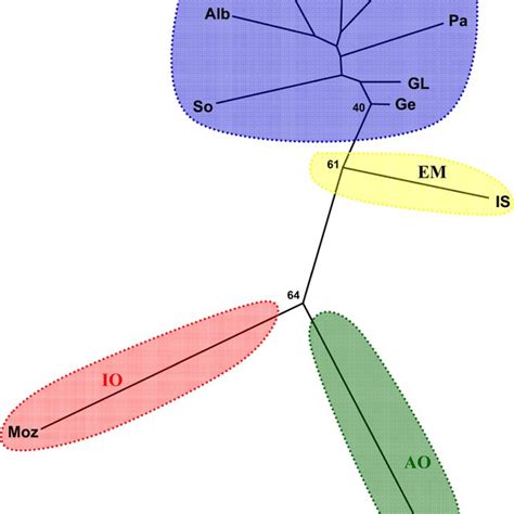 Schematic Drawing Of Cycloid Scale Left And Ctenoid Scale Right