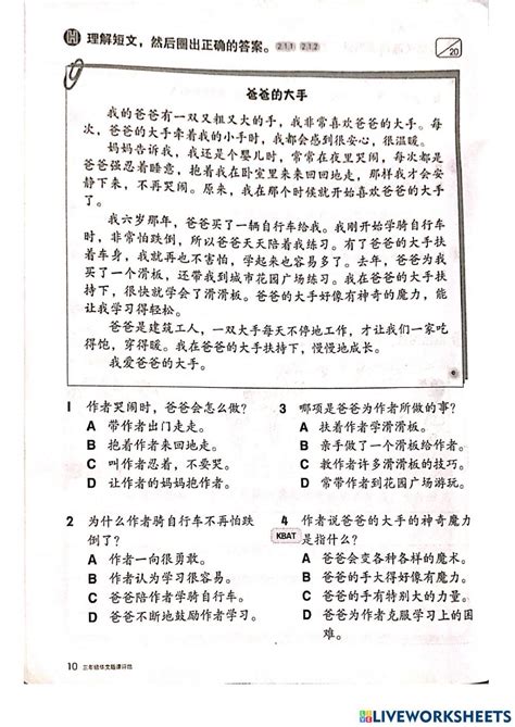 Third Grade Chinese Comprehension Exercise 3