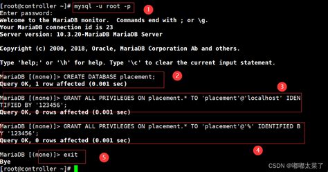 【openstack Train安装】八、placement安装安装placement Csdn博客