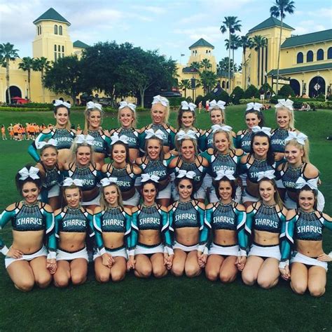 Pin By Gracie On Cheer Or Gym Great White Sharks Cheer Cheer