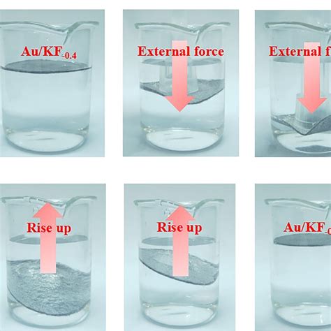 A Before The External Force Is Applied When The External Force Is Download Scientific Diagram