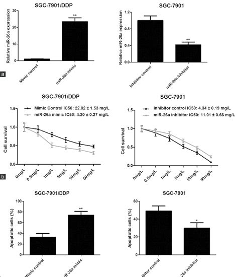 Mir‑26a Increases Sensitivity Of Gc Cells To Cisplatin A Examination