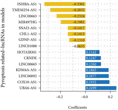 Identification And Construction Of A Pyroptosis Related Lncrnamodel In