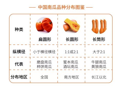 中国南瓜地理 凤凰网