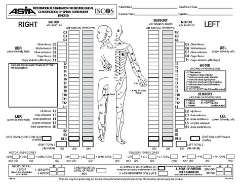 Asia Chart Spinal Examination Page 12 This Form May Be Copied Freely But Should Not Be