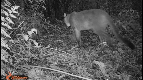 Tim Rookie Hamilton Added A New Photo Tim Rookie Hamilton