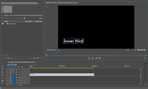 Basic Animation Techniques Inside Premiere Pro BlueFx