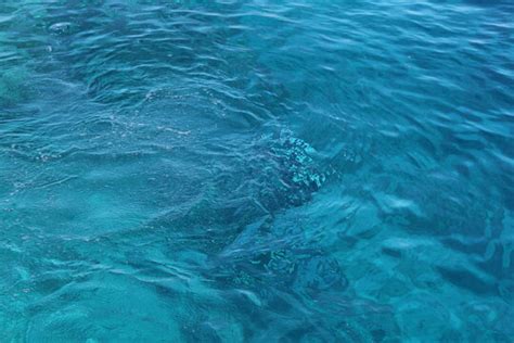 Seamless Ocean Texture Water And Liquid Textures For 55 Off
